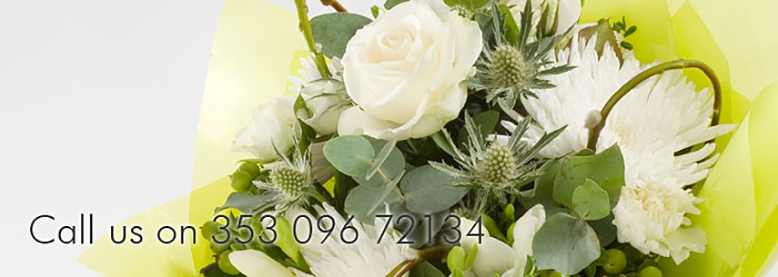 Home | Co Mayo| Ballina 00353 96 72134 | Castlebar 00353 949025552 ...